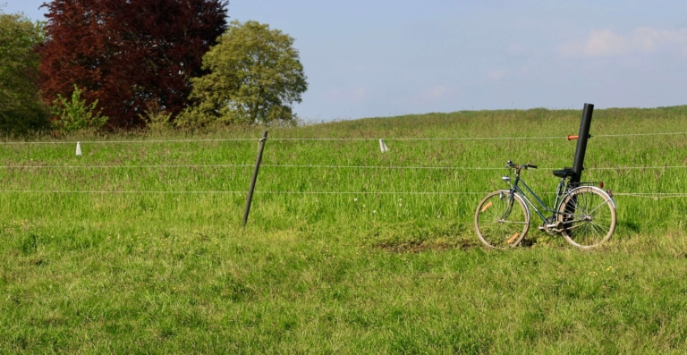 ACT light: Minder in je hoofd, meer in je leven - Heist-op-den-Berg ...